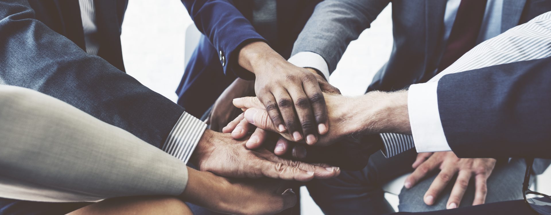 Member Directories – NCTR